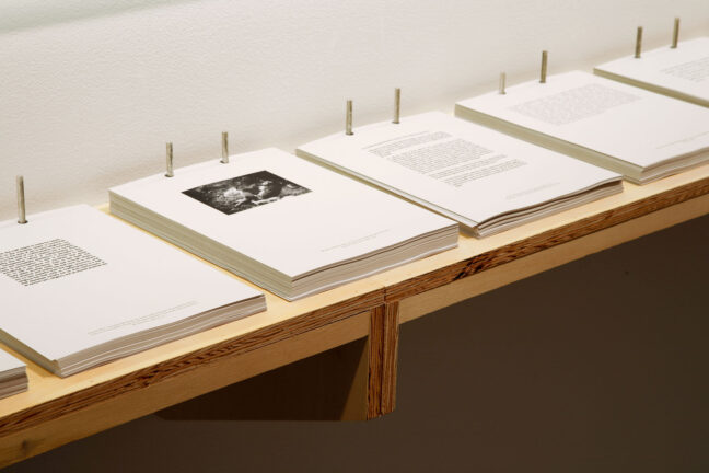 Ann Hamilton: the common S E N S E - Henry Art Gallery